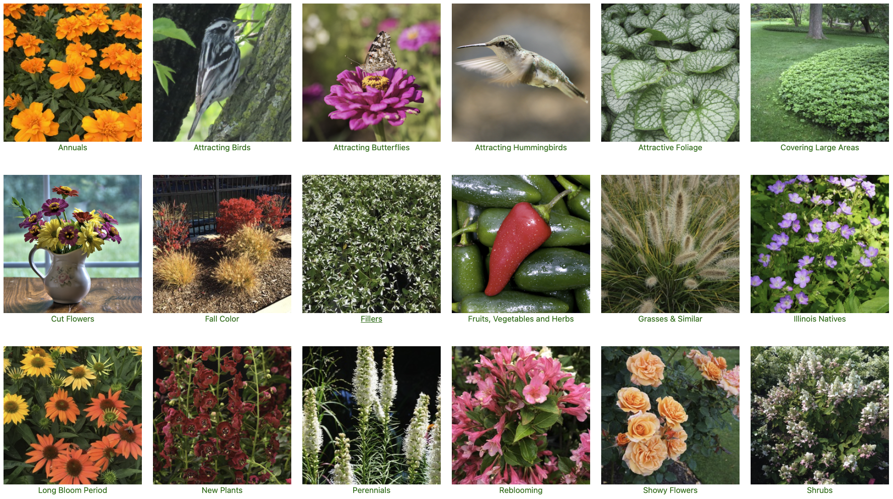 Browse Plants by Type or Tag | North Shore Plant Club